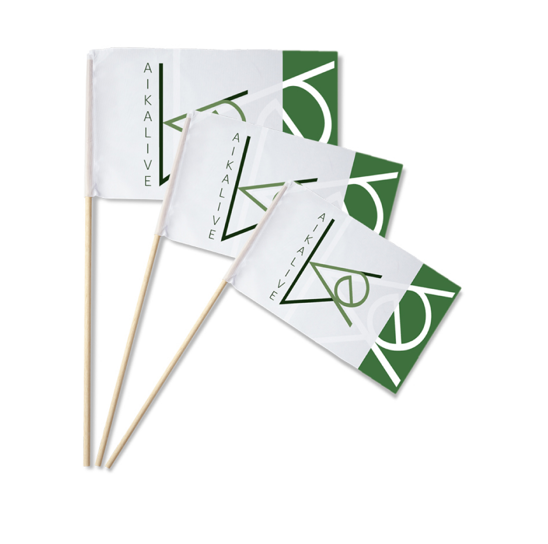 Banderas con palos - AikalivebyAqenaika